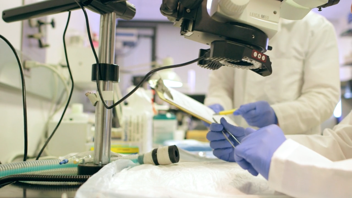 Fundamentals of Laparoscopic Surgery | University of Michigan Medical ...