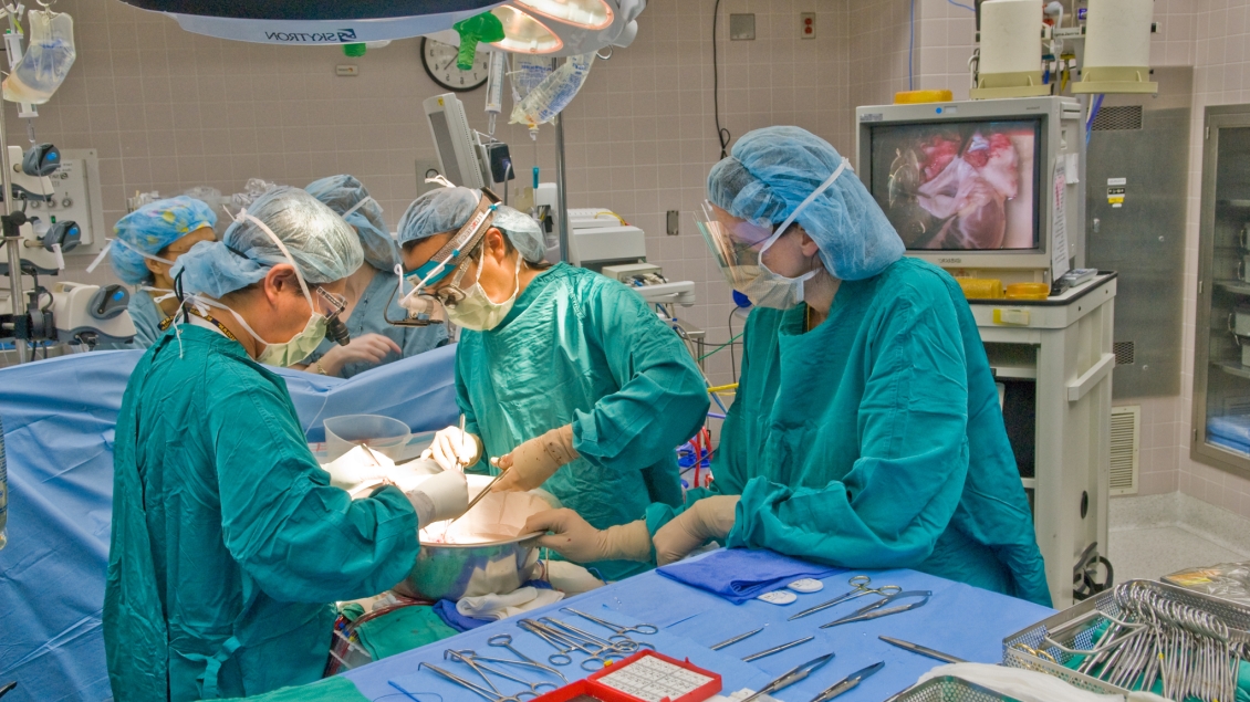 Pediatric Cardiovascular Surgery | University of Michigan Medical School